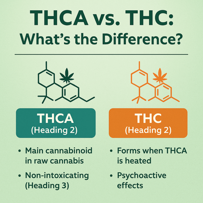 THCA vs THC: What’s the Real Difference? - Blastoffsmoke